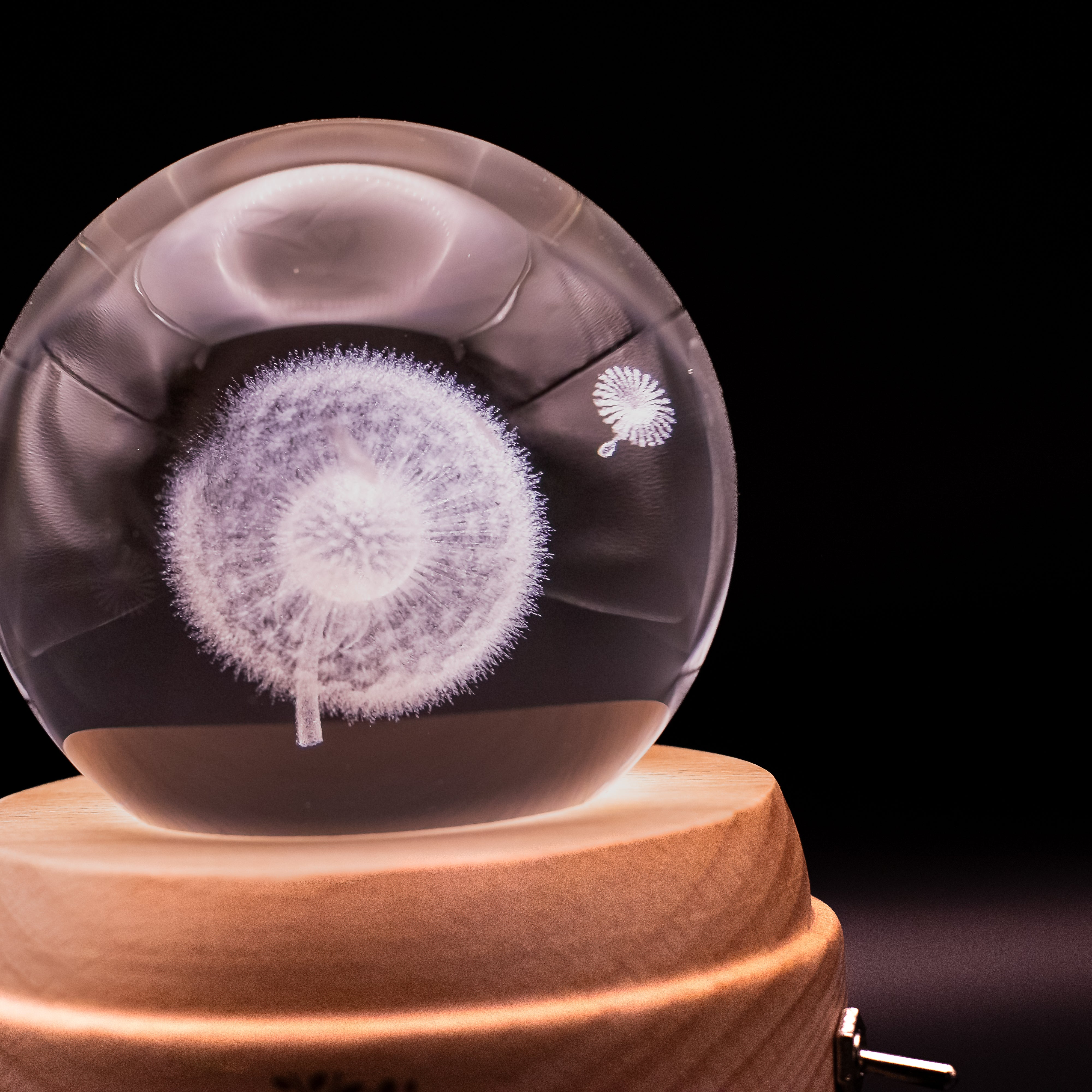 White Dandelion 3D Crystal Baby Night Light – Woodylands